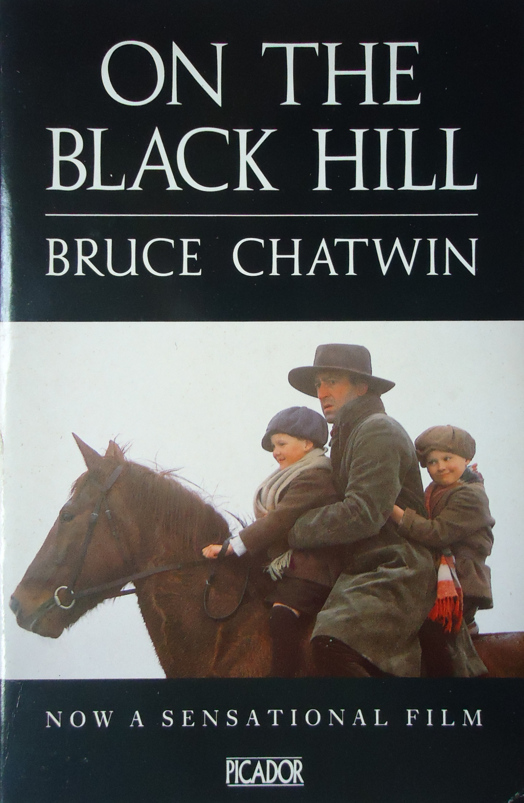 Top Ten Tuesday: Novels about or set in Mountains – BooksPlease